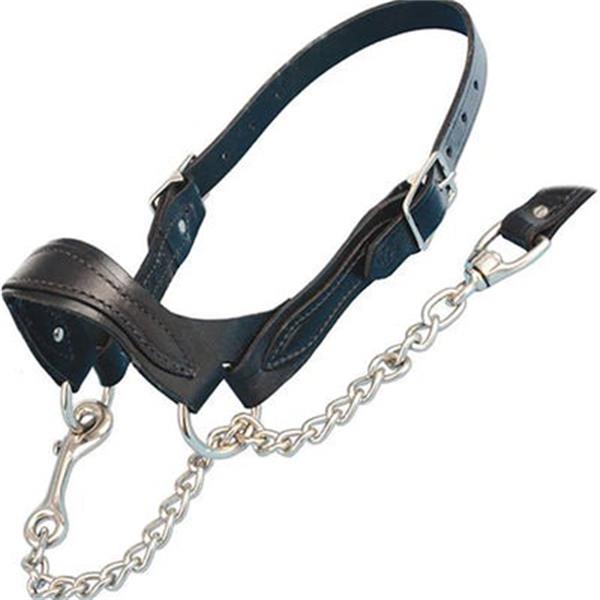Sullivan's Classic Leather Flat Strap Show Halter – Country Farm Supplies